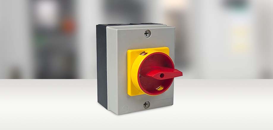 Enclosed Disconnect Switches – Control Switches International